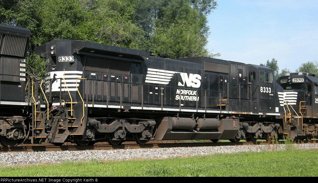 NS 8333